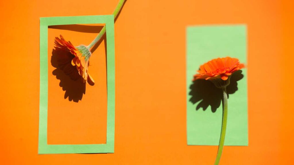 Upside Down Flower Meaning: Hang Flowers Upside Down