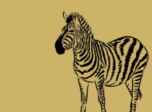 Zebra Spiritual Meaning: Zebra Power Animal