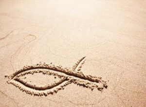 Animal Symbolism: Different Animals Symbols And Meaning