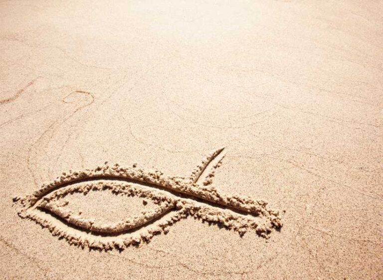 Animal Symbolism: Different Animals Symbols And Meaning