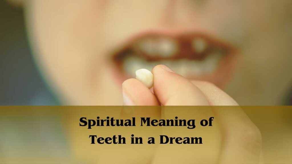 Spiritual Meaning Of Teeth In A Dream: Dream About Teeth