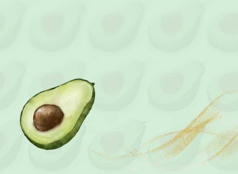 Spiritual Meaning Of Avocado In A Dream: Dream Meaning
