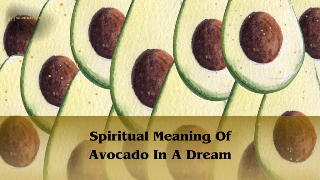 Spiritual Meaning Of Avocado In A Dream: Dream Meaning