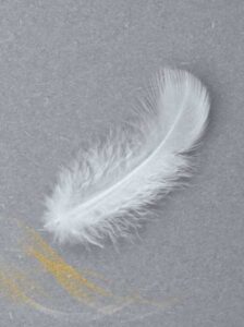 Spiritual Meaning White Feather: See A White Feather Meaning