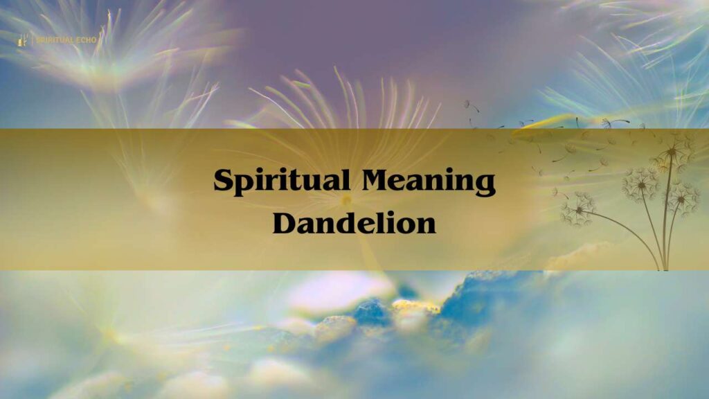 Spiritual Meaning Dandelion: Meaning Of Dandelions Flower