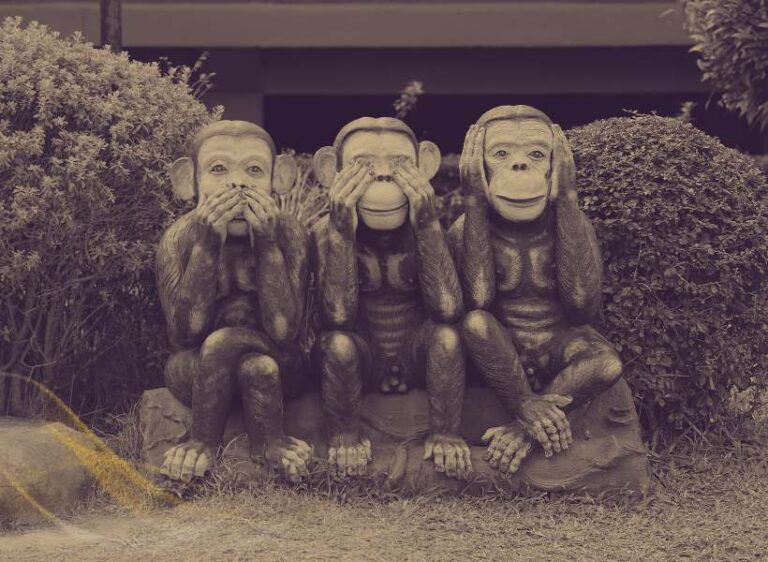 Spiritual Meaning Monkey: Spirit Animal Symbolism