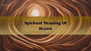 Spiritual Meaning Of Brown: Meaning Of The Color Brown