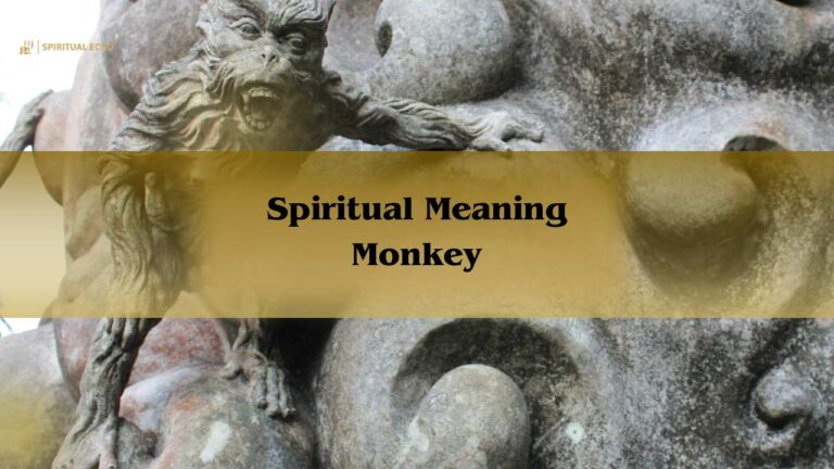 Spiritual Meaning Monkey: Spirit Animal Symbolism