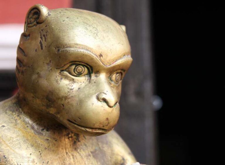 Spiritual Meaning Monkey: Spirit Animal Symbolism