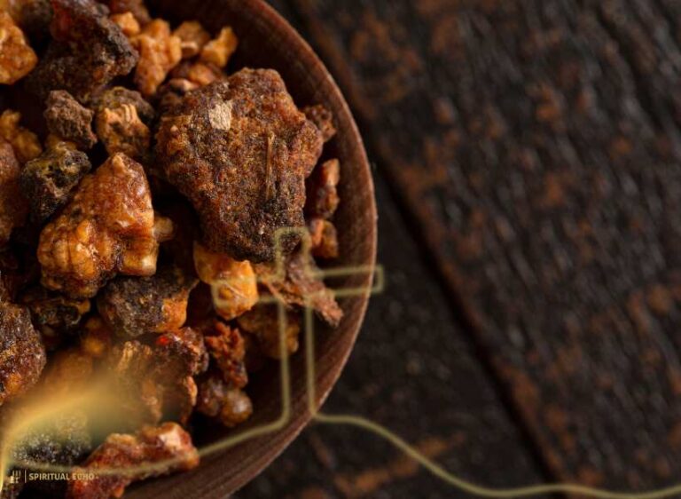 Spiritual Meaning Of Myrrh In The Bible: Gift Of Myrrh