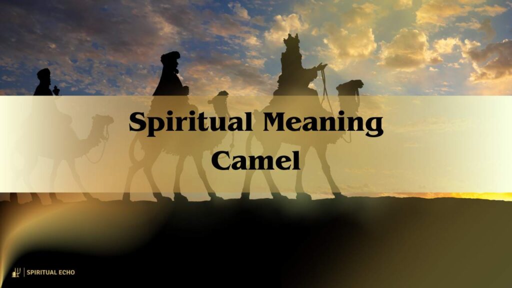 Spiritual Echo | Discover The Power Of Spirituality