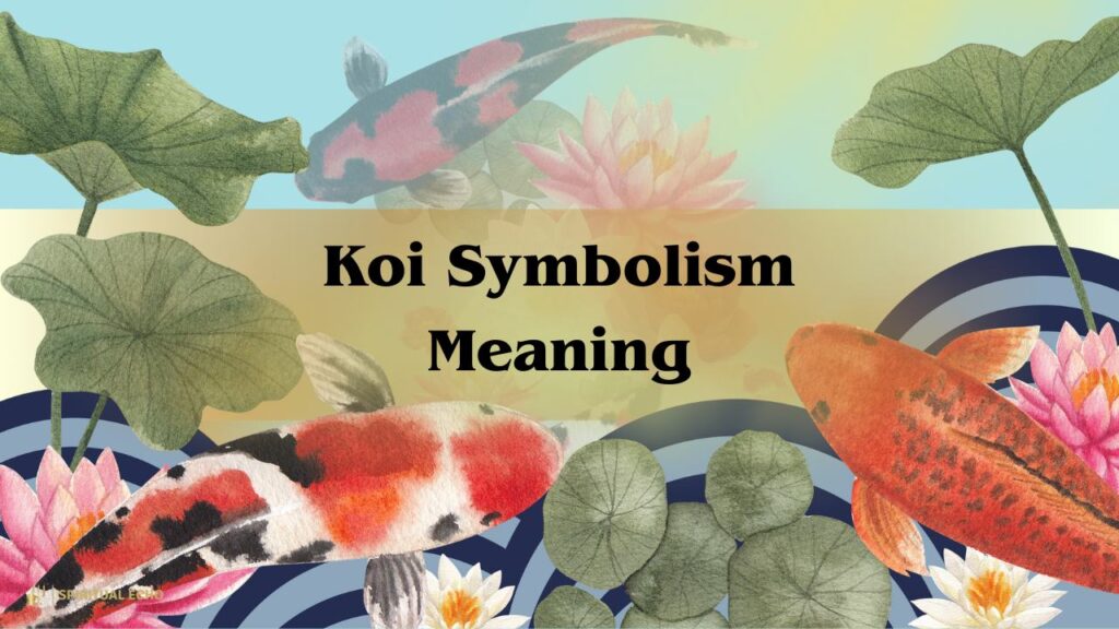 Koi Symbolism Meaning: Koi Fish Meaning